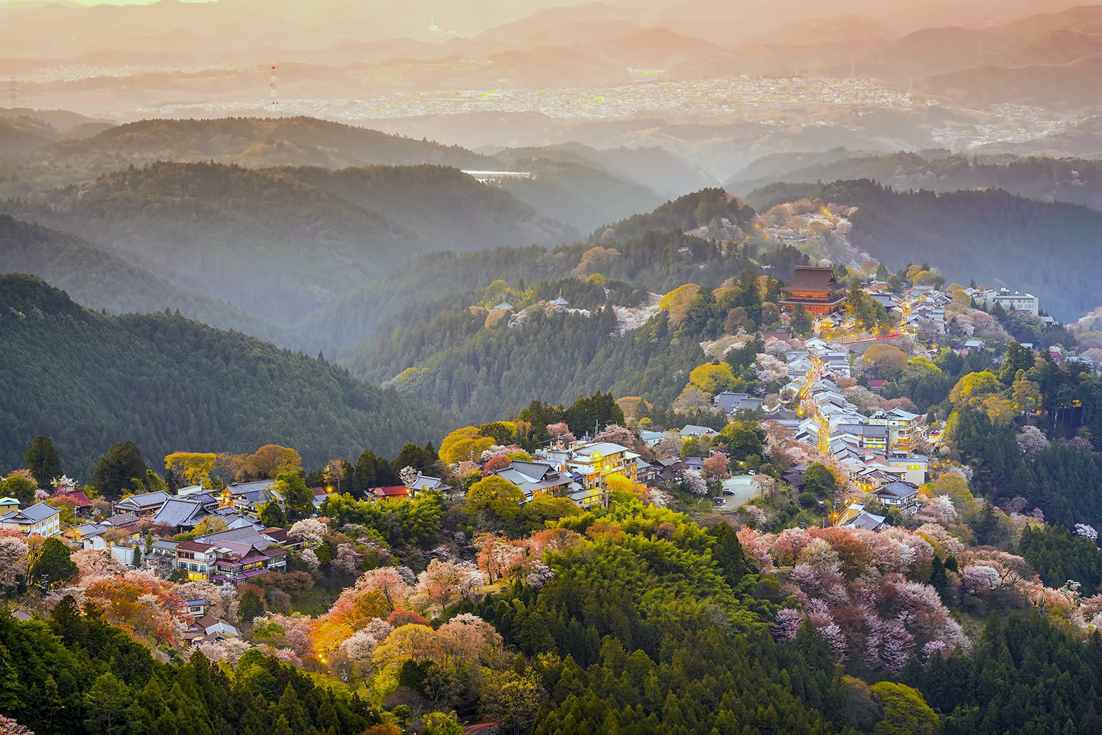 10 Best Things to Do for Couples in Nara - What to Do on a Romantic ...