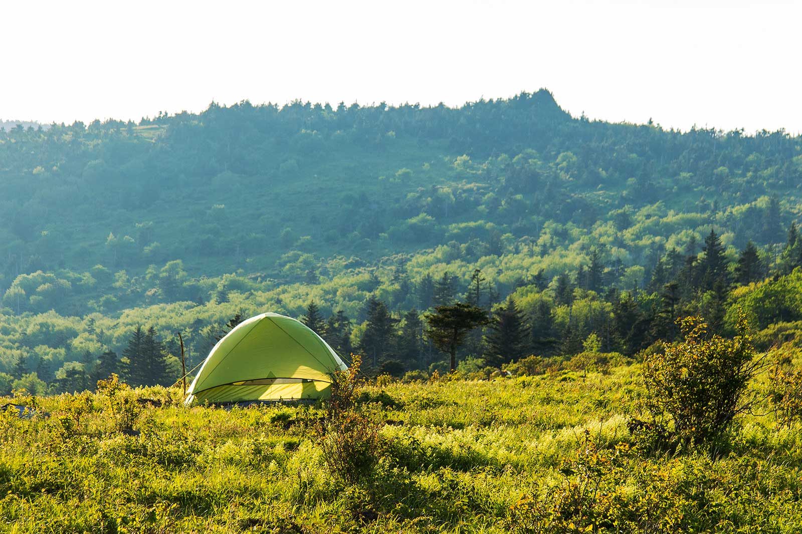 10 Best State and National Parks in Virginia - Escape to Virginia’s ...