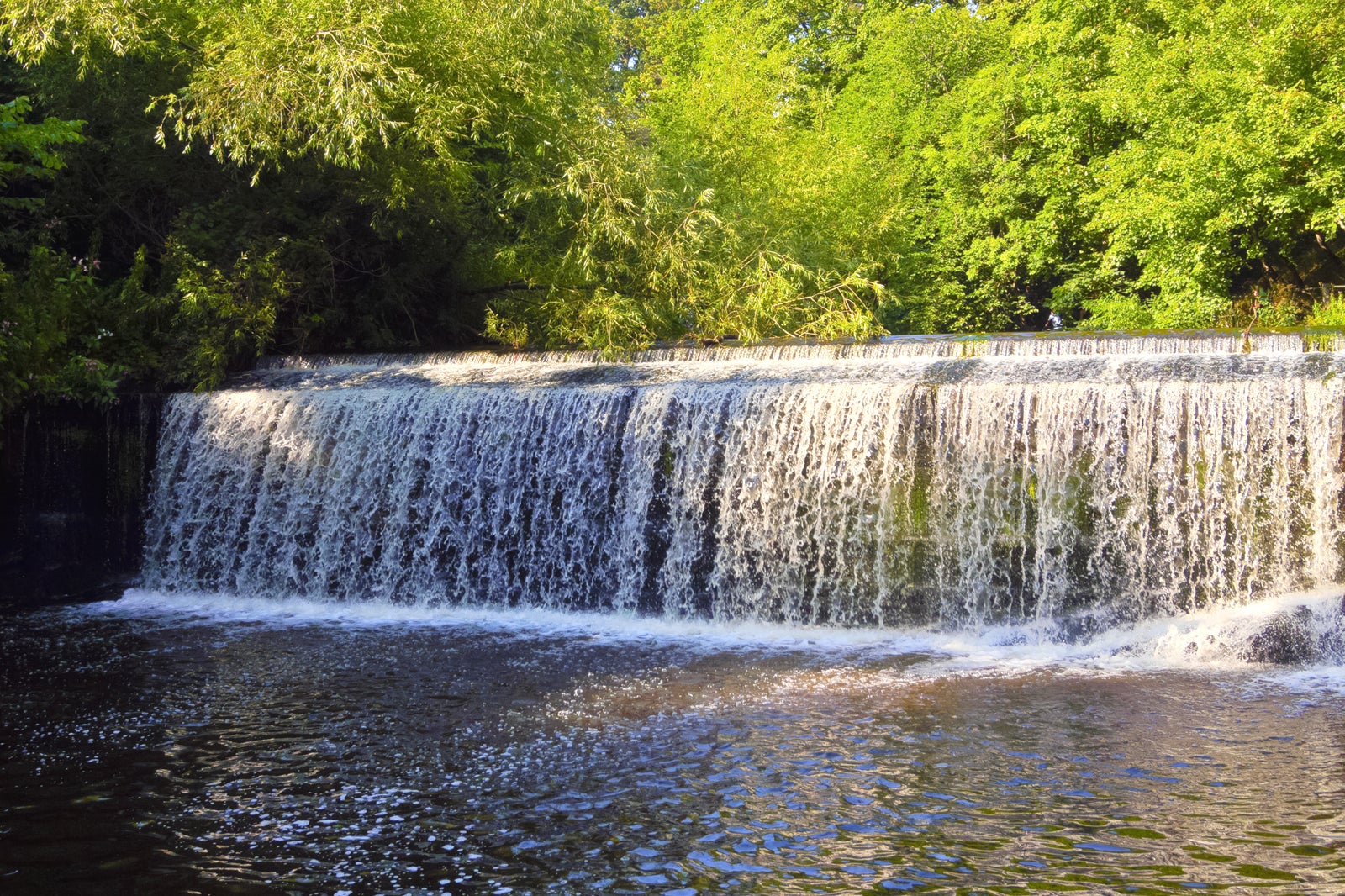Water of Leith Walkway in Edinburgh - Walk Through Some Interesting and ...