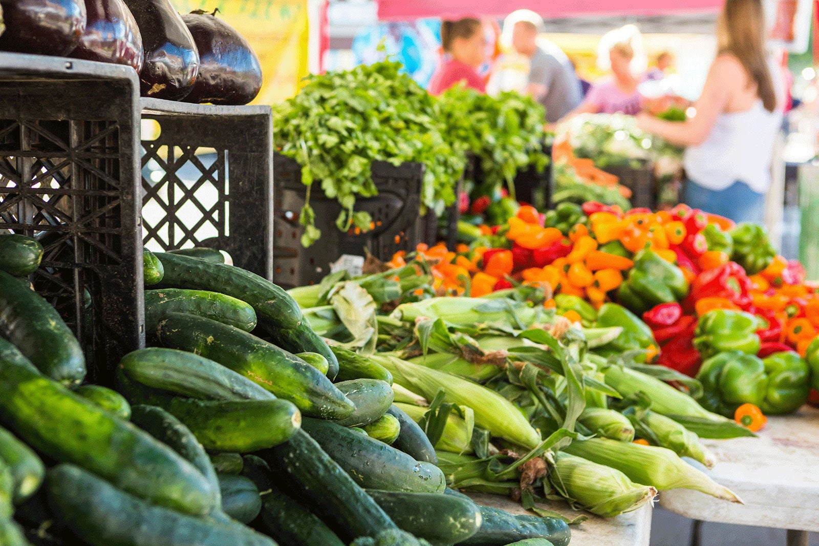 10 Best Places to Go Shopping in Raleigh - Where to Shop in Raleigh and ...