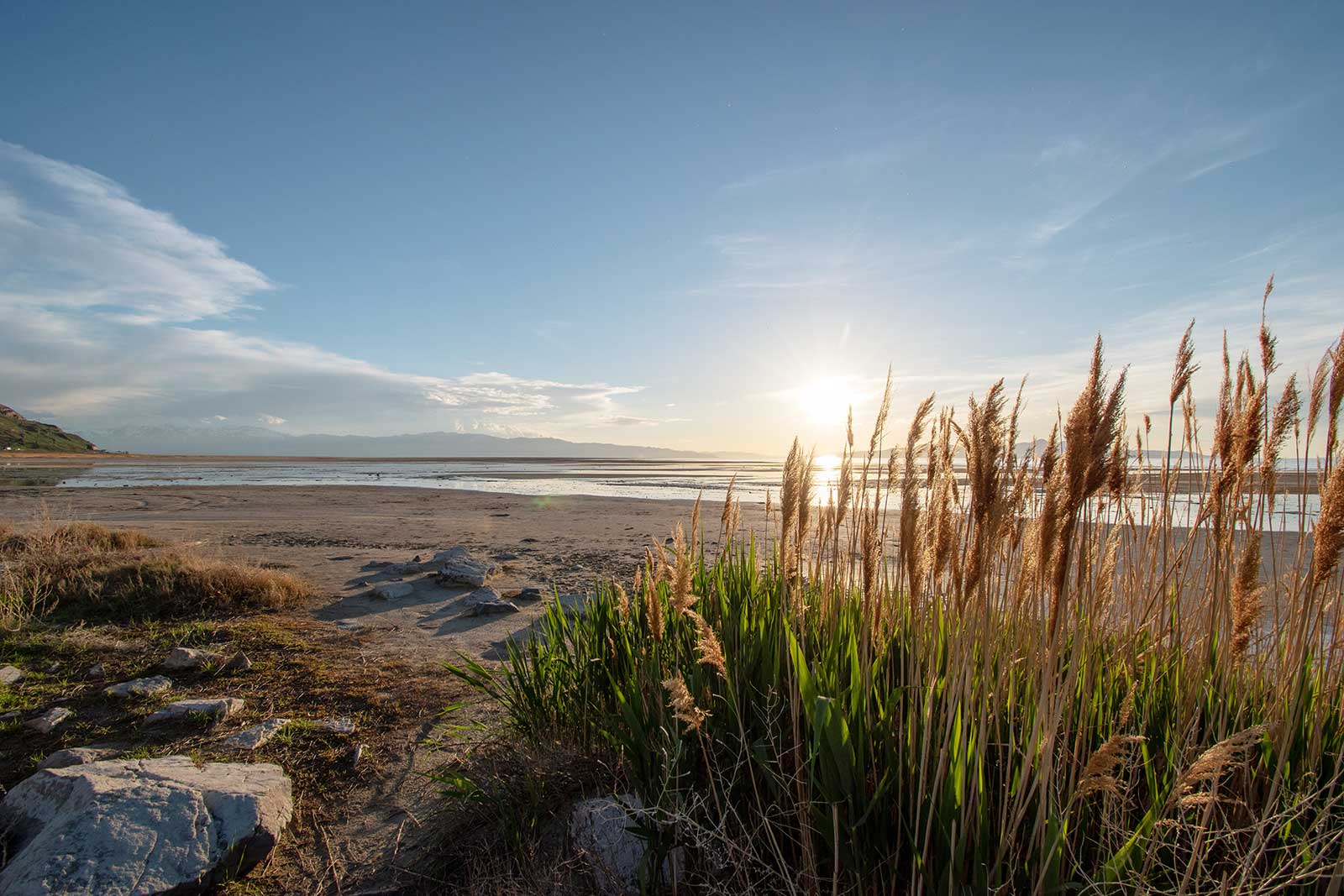 10 Best Things to Do in Salt Lake City This Summer - Make the Most of ...