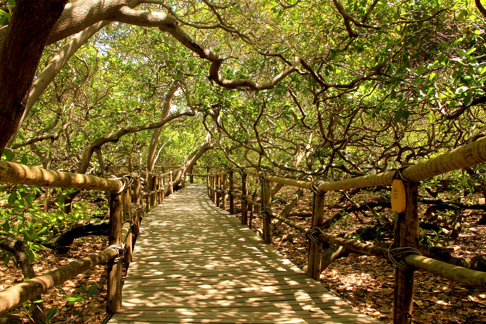 10 dicas imperdíveis sobre o que fazer em Natal - As dunas da cidade e ...