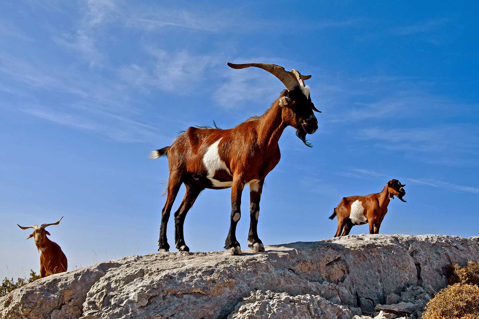 10 Best Hikes Around Toulon - Take a Walk Around Toulon’s Most ...