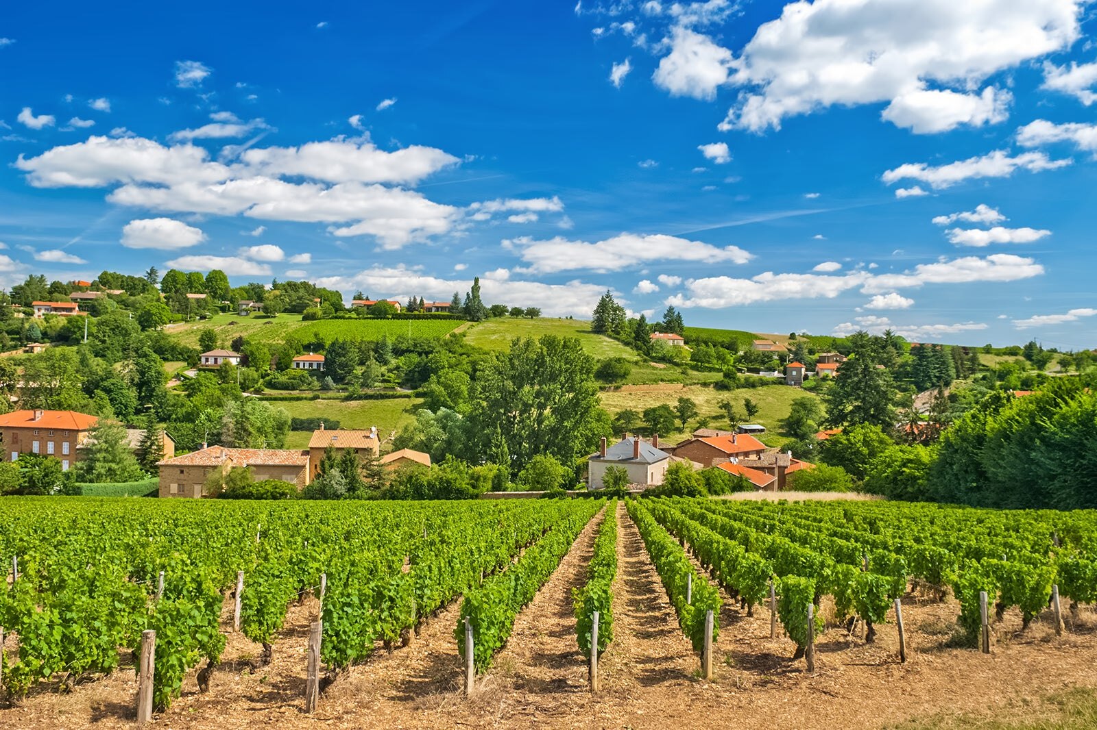 10 Best Road Trips Near Lyon - Escape to Auvergne-Rhône-Alpes This ...