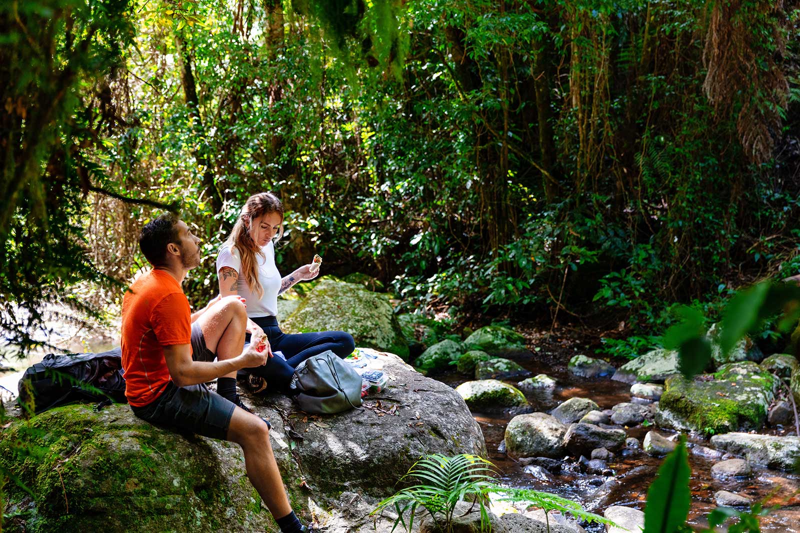 10 Best Things to Do in Cairns - What is Cairns Most Famous for? - Go ...