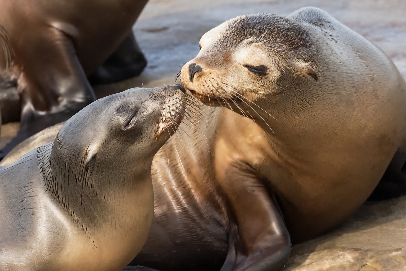 10 Best Things to Do in Laguna Beach - Visit Laguna Beach for State ...