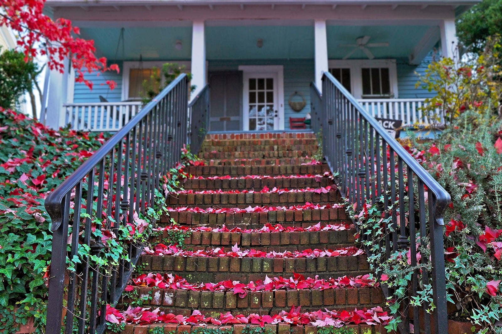 10 Best Things to Do in Raleigh - What is Raleigh Most Famous For? – Go ...