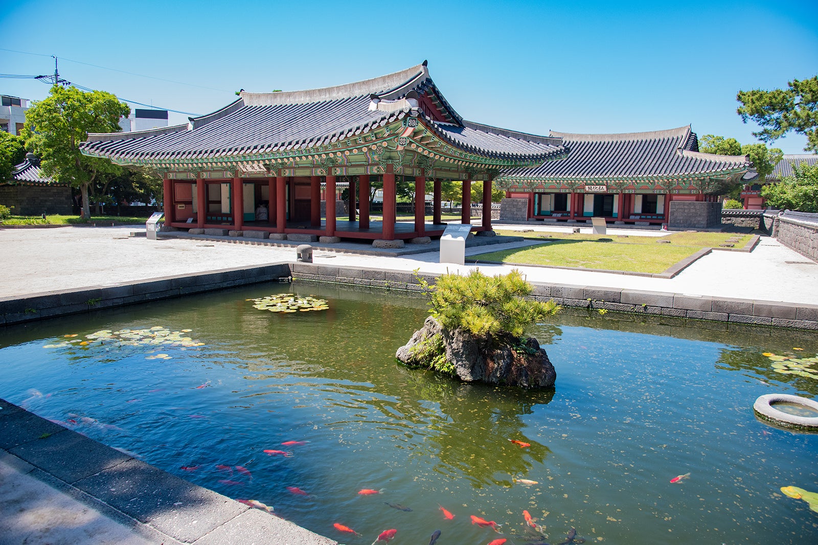 10 Most Popular Neighbourhoods on Jeju Island - Where to stay on Jeju ...