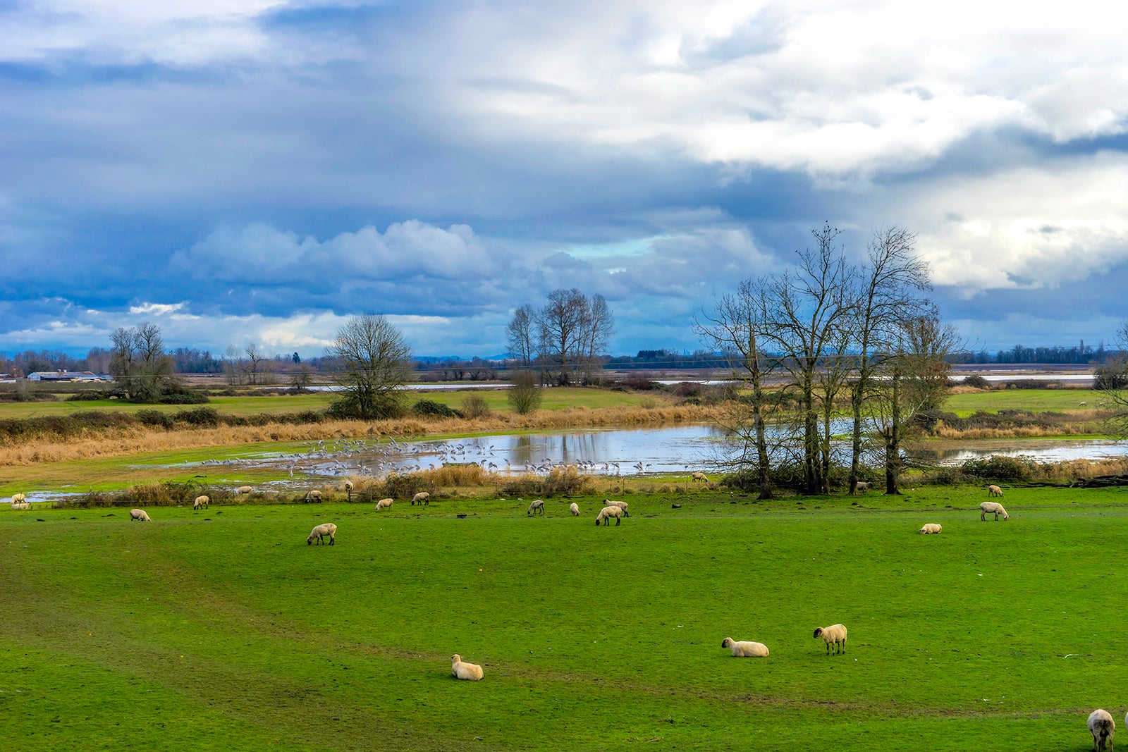 10 Best Natural Sights around Portland - Escape to Portland's Most ...