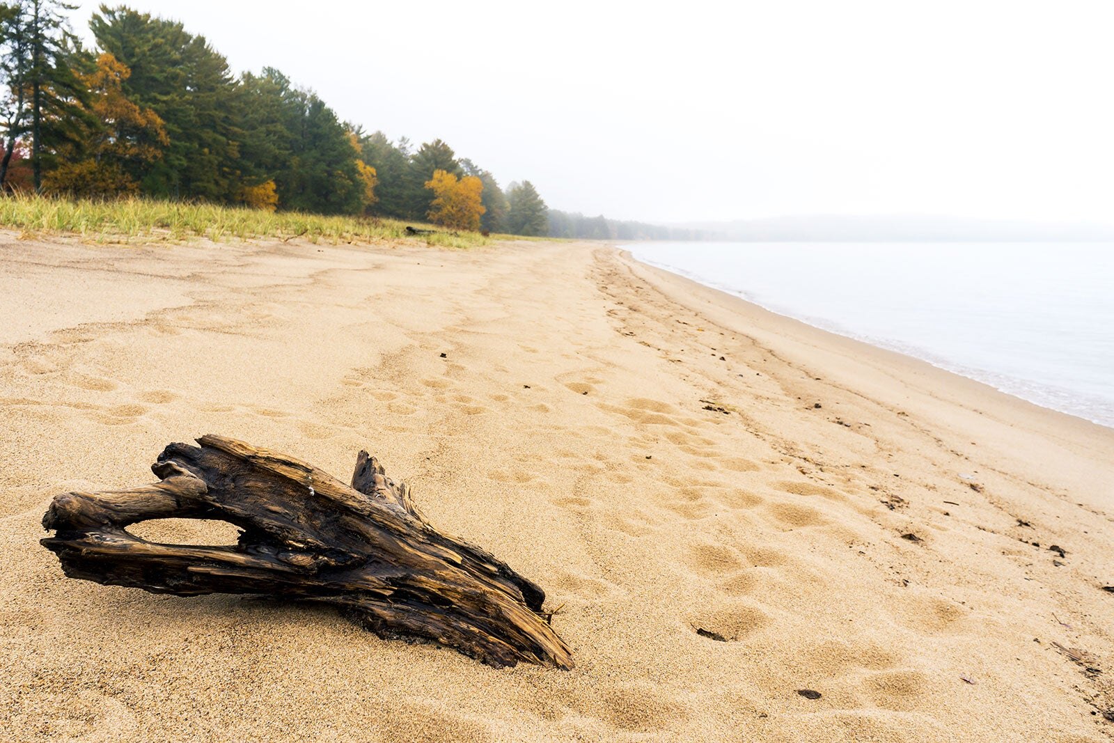 10 Best Beaches in Ontario - What is the Best Beach in Ontario? - Go Guides
