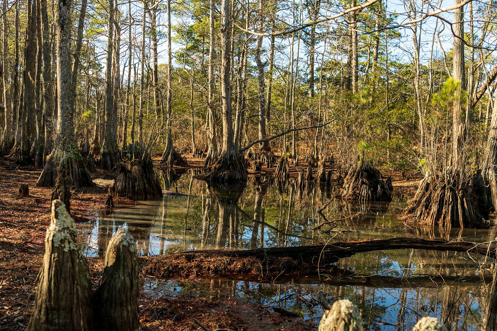 10 Best State and National Parks in Virginia - Escape to Virginia’s ...