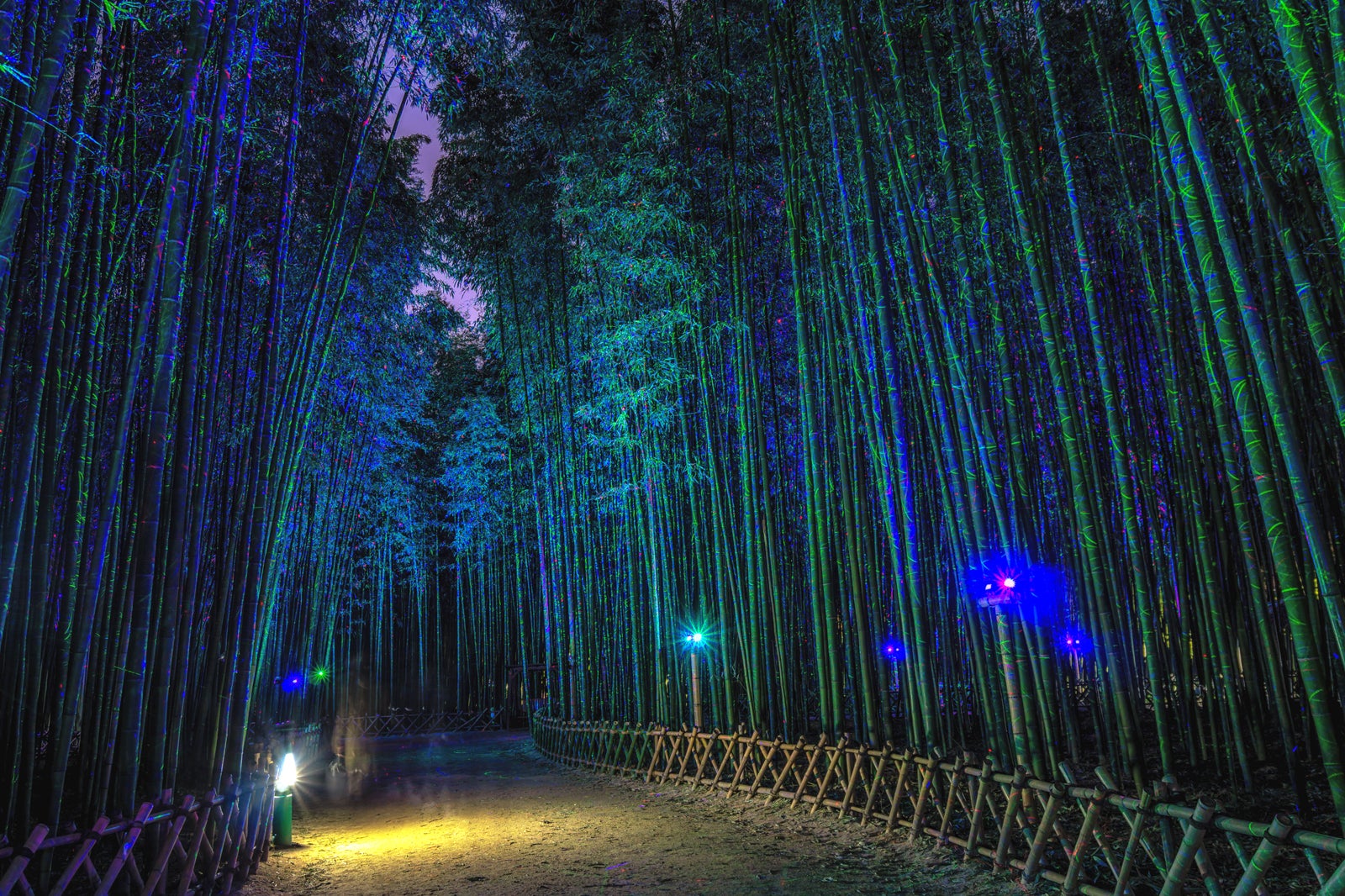 10 Best Things to Do After Dinner in Ulsan - Where to Go in Ulsan at ...