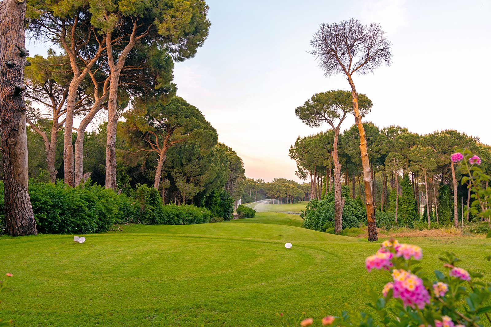 10 Best Places to Play Golf in Japan - Where to Go in Japan to Play ...