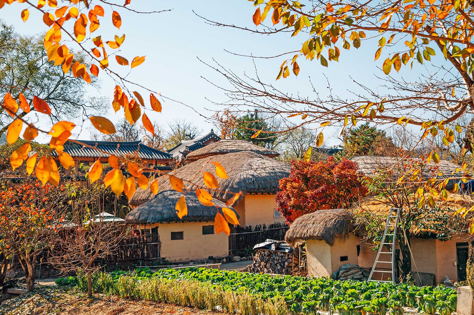 10 Unusual Places and Hidden Gems in Korea - Cool Places in Korea You ...